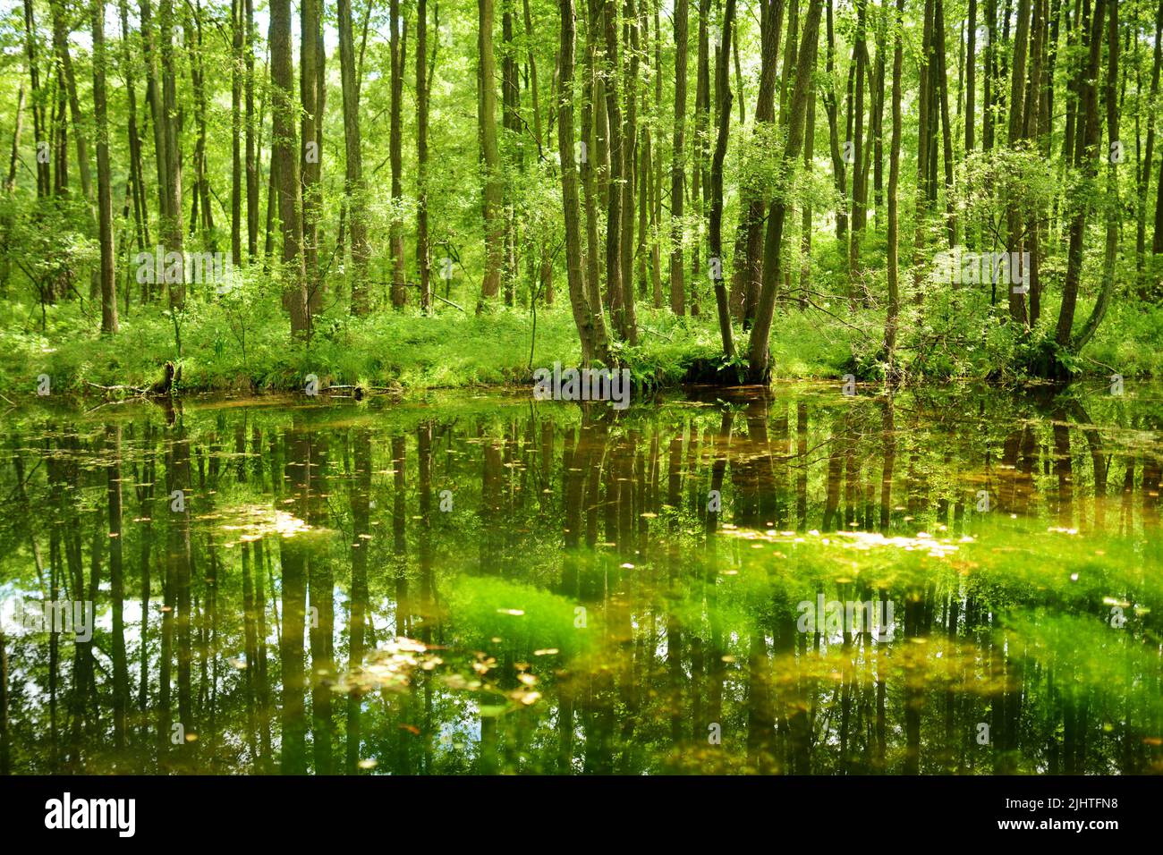 Niebieskie Zrodla or Blue Springs, famous for two pools fed by an ...