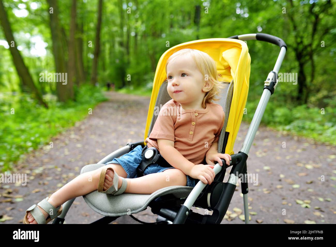Sweet toddler boy sitting in a stroller outdoors. Little child in pram ...