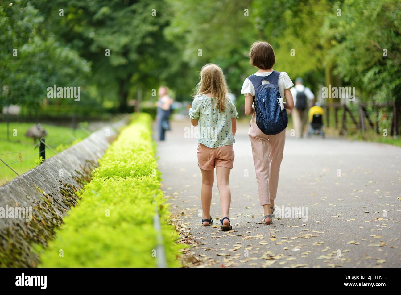 Two cute teenage sisters watching animals at the zoo on warm and sunny ...