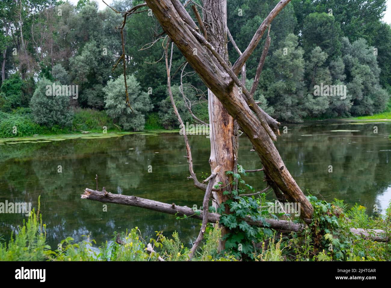 The Po river in Piedmont at an all time low, il po al suo minimo ...