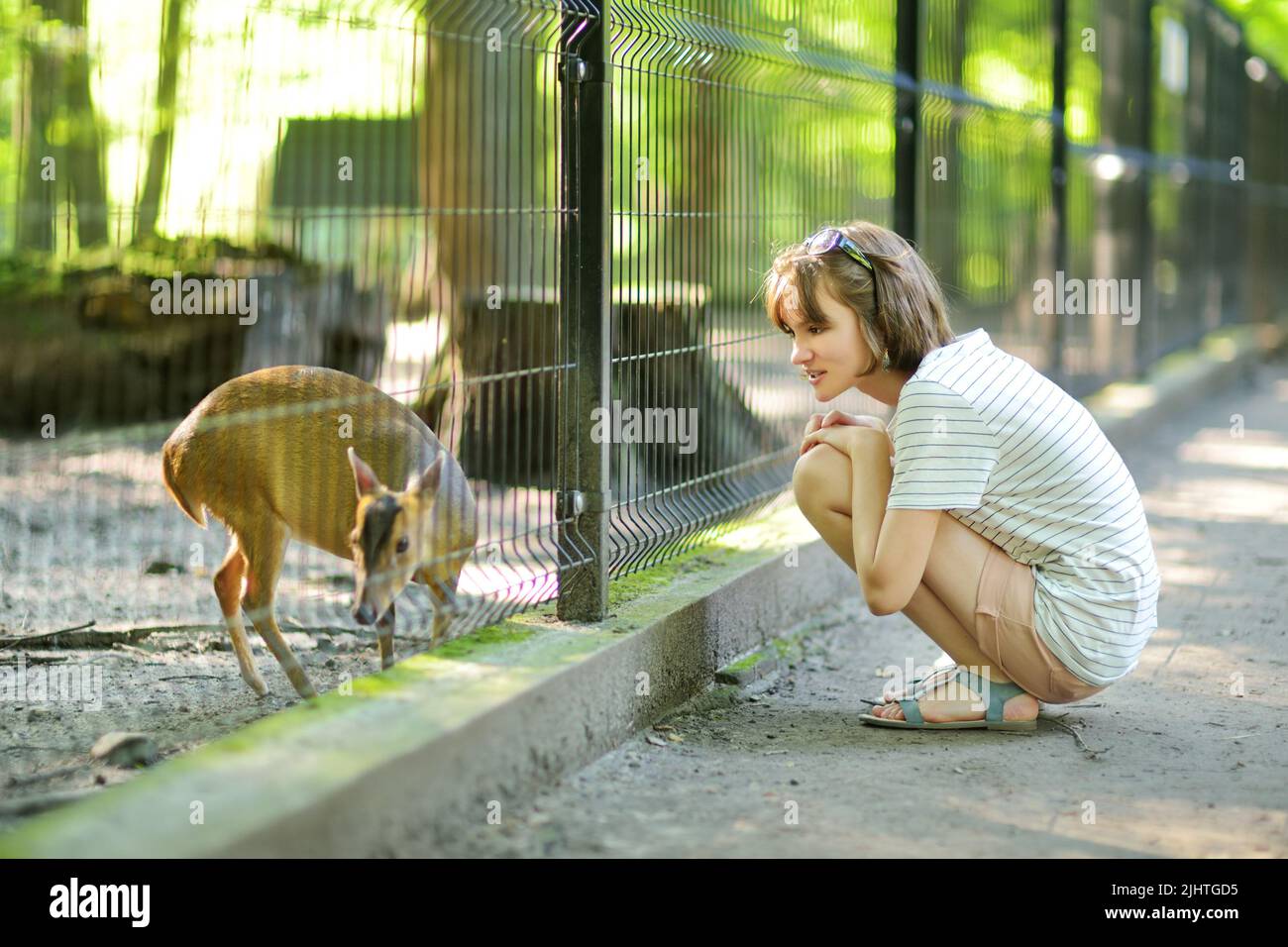 Cute teenage girl watching animals at the zoo on warm and sunny summer ...