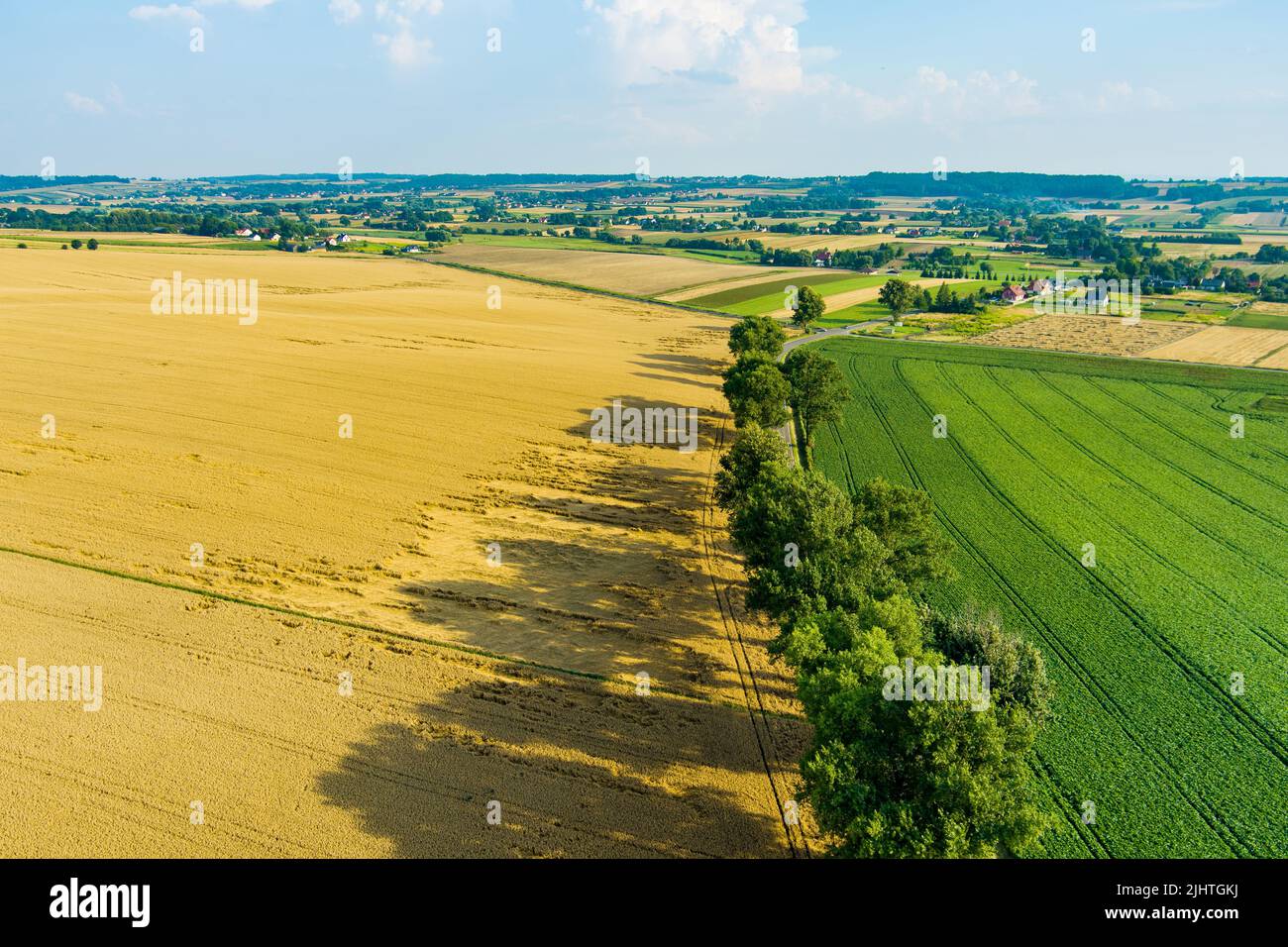 Aerial view of agricultural parcels of different crops. Road winding ...