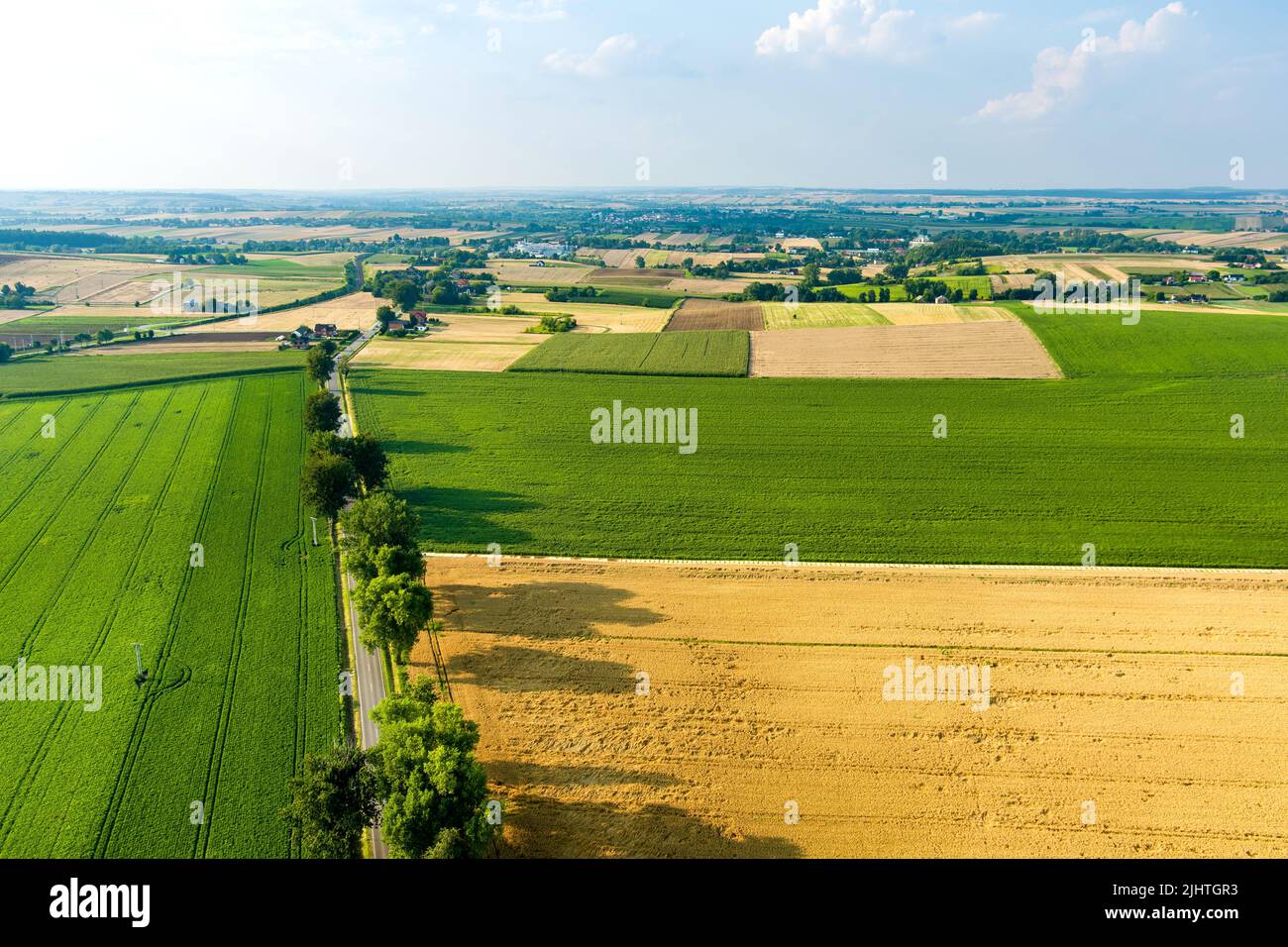 Aerial view of agricultural parcels of different crops. Road winding ...