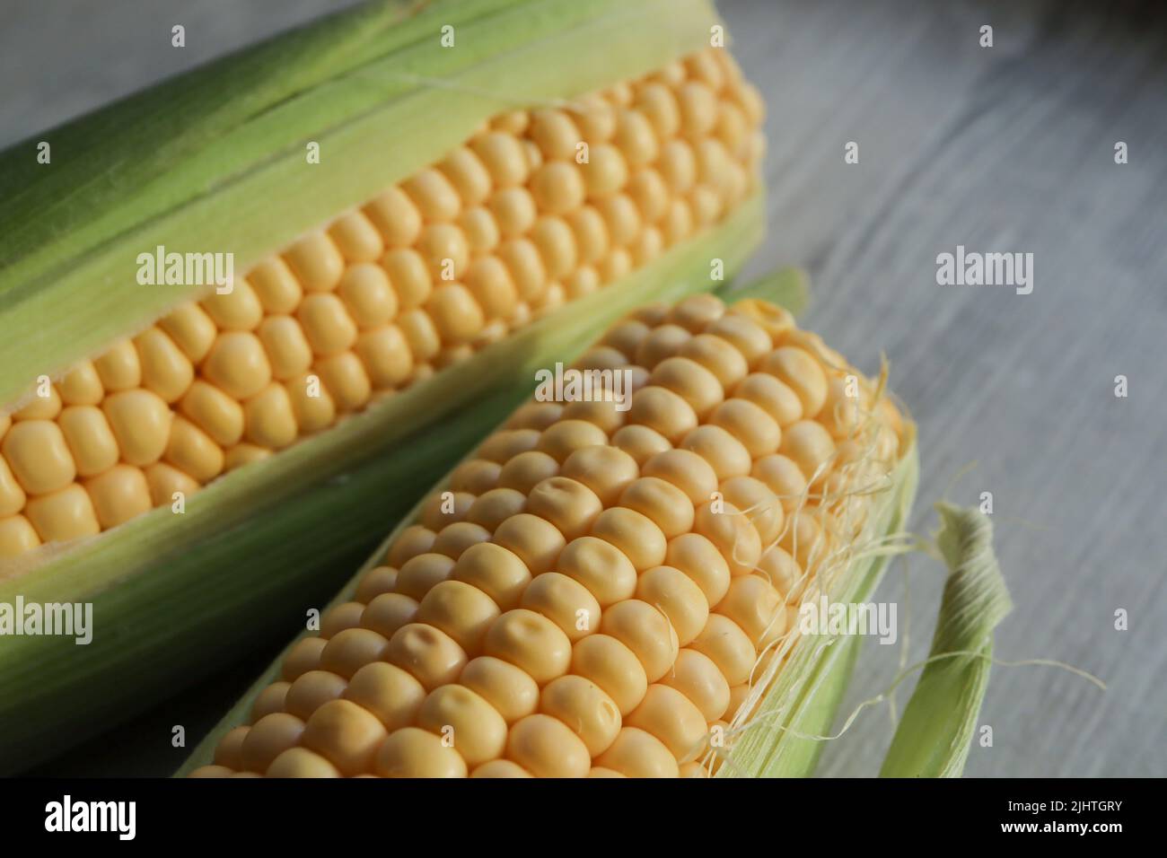 Corn on the cob. Close up of corn or known as mielies in South Africa ...