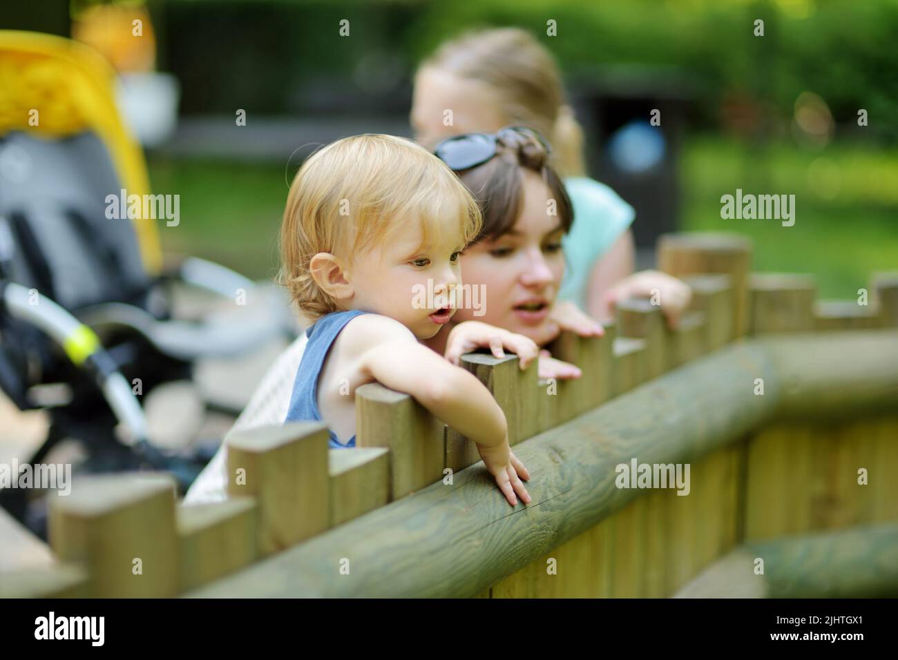 Cute toddler boy and his older sister watching animals at the zoo on ...