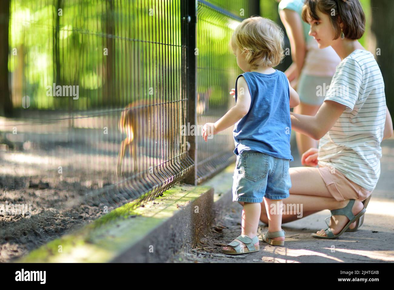 Cute toddler boy and his older sister watching animals at the zoo on warm and sunny summer day ...