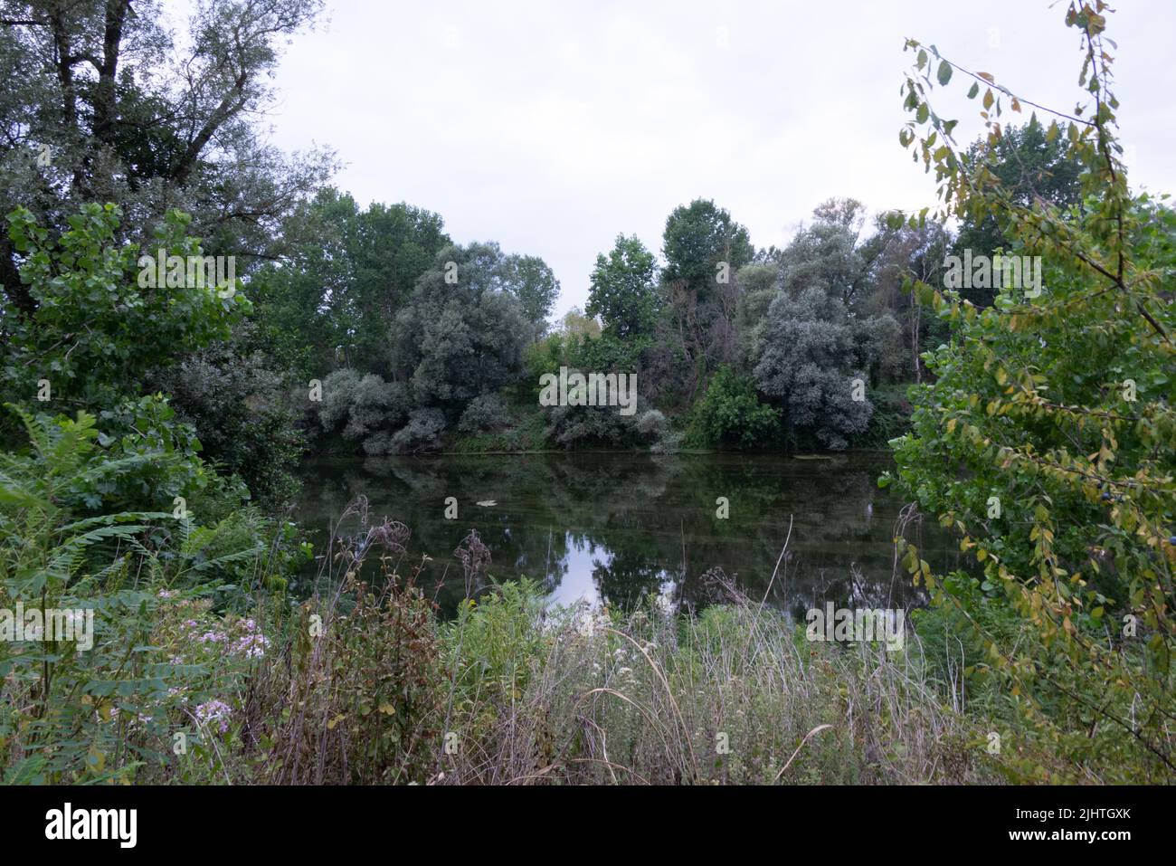 The Po river in Piedmont at an all time low, il po al suo minimo ...