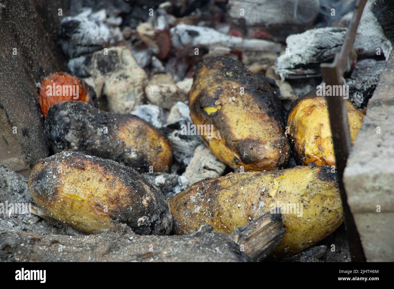 baked potatoes in a fire in nature, bake potatoes in coals, potatoes ...