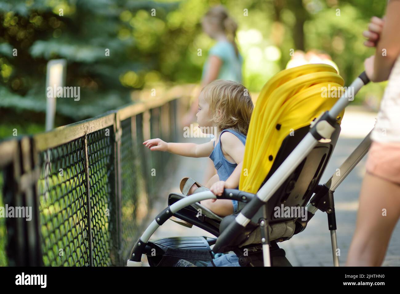 Cute toddler boy in a stroller watching animals at the zoo on warm and ...