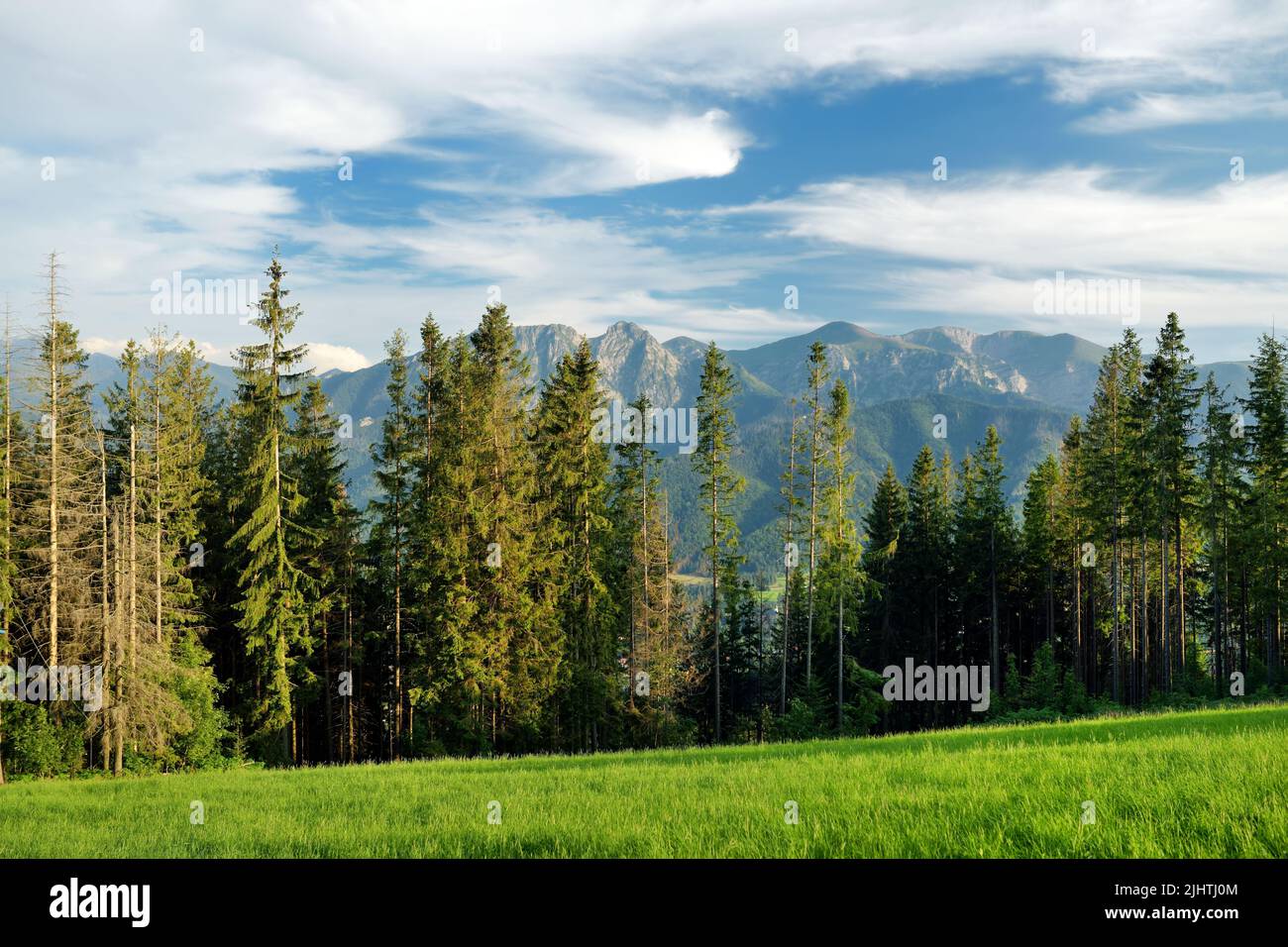 Aerial view of Tatra Mountains taken from the Gubalowka mountain range ...