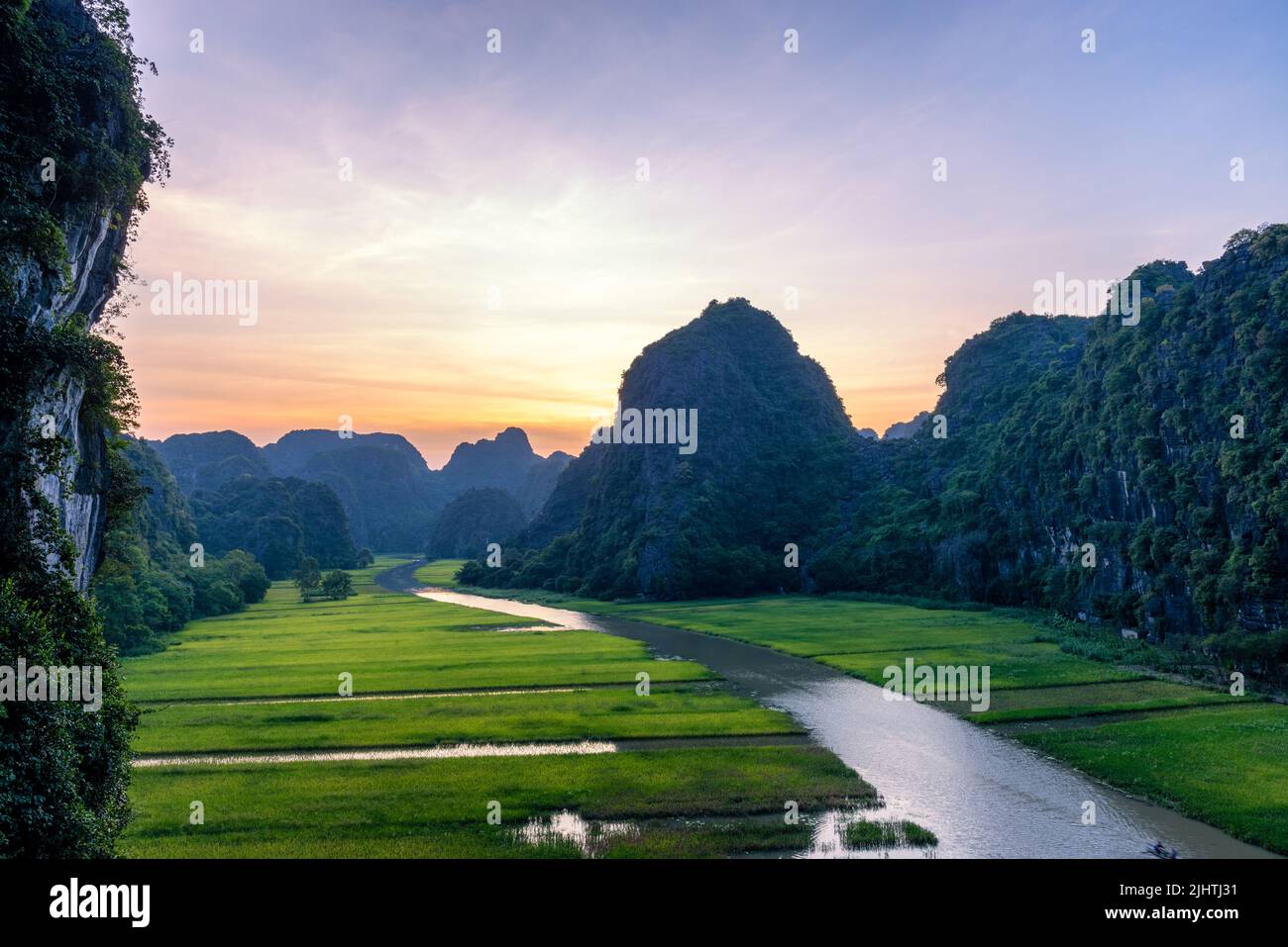 Yellow rice field on Ngo Dong river in Tam Coc Bich Dong from mountain ...