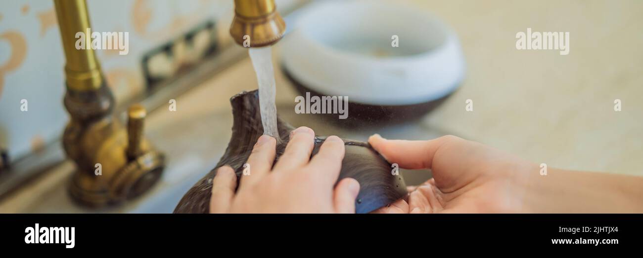 BANNER, LONG FORMAT Woman washing aroma diffuser in faucet ...