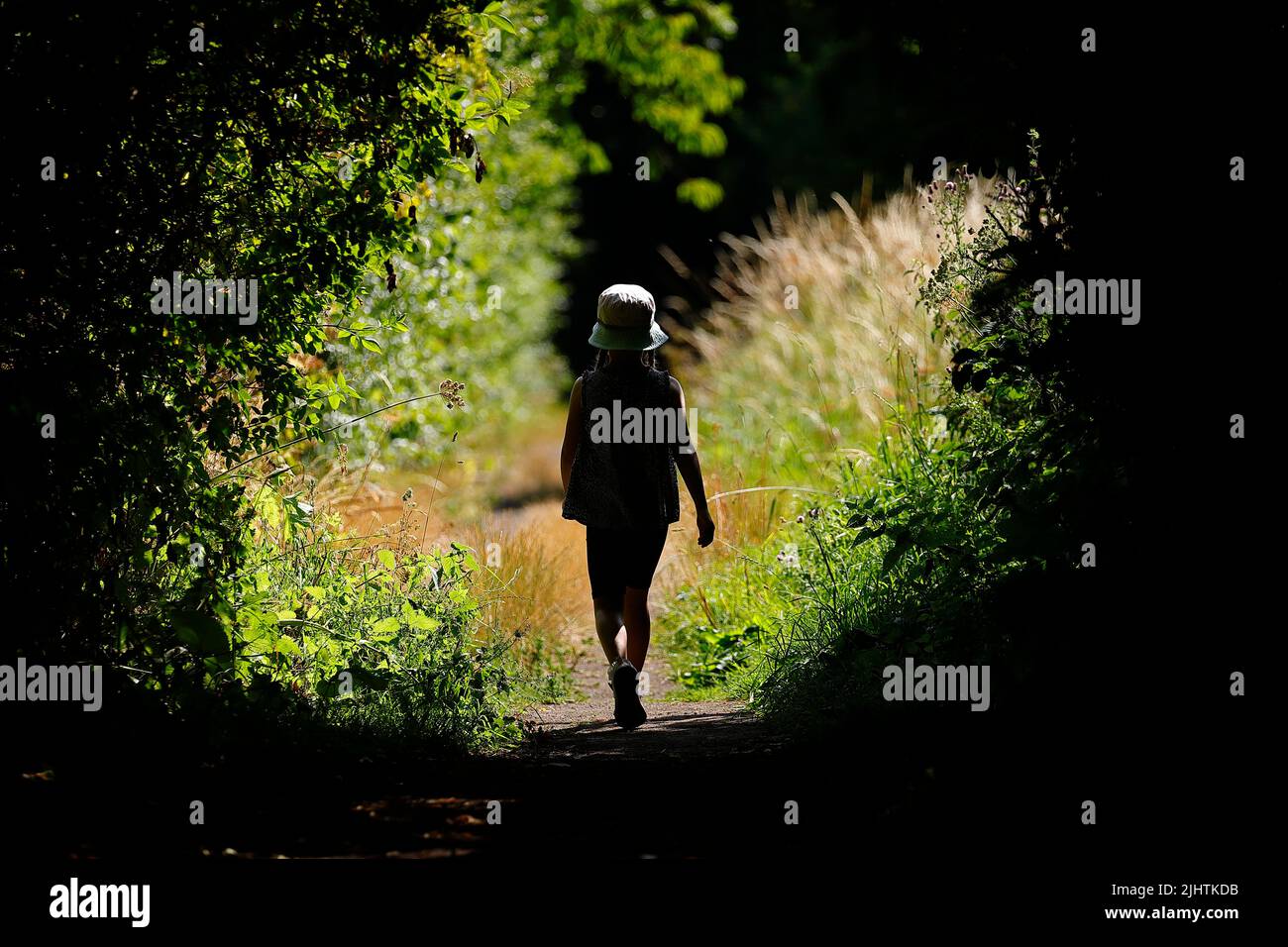 A 6 year old girl out walking along a public footpath between ...