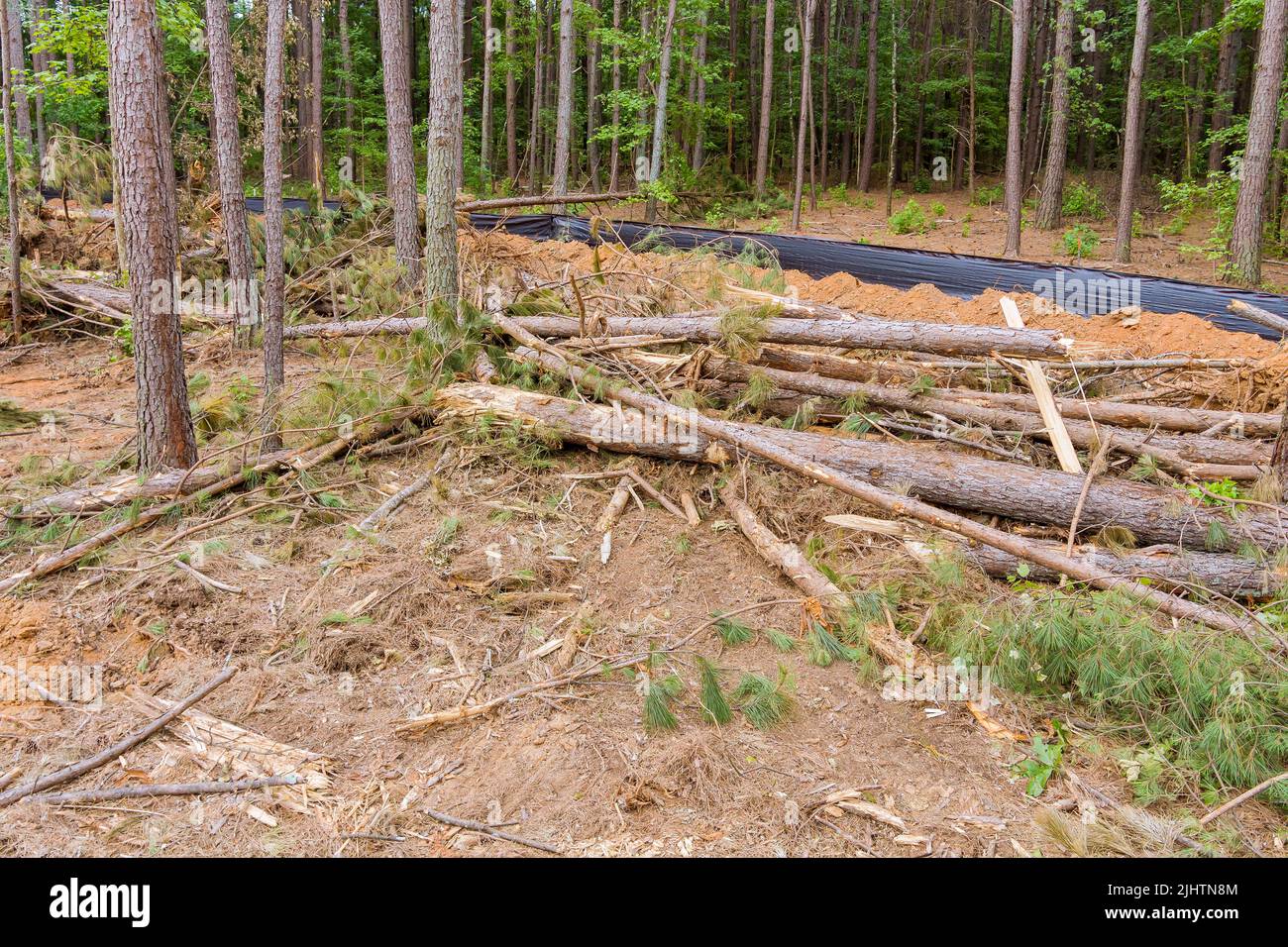 An view of a construction site with uprooted roots, that was cleared of ...