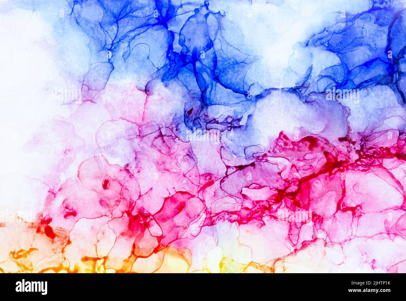 Macro close-up of abstract rainbow colored alcohol ink texture on white ...