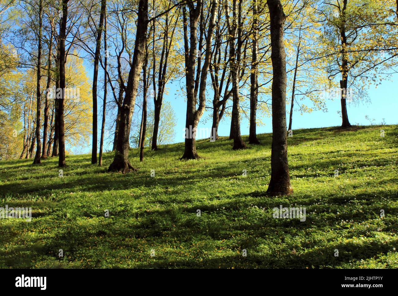 Hilly terrain hi-res stock photography and images - Alamy