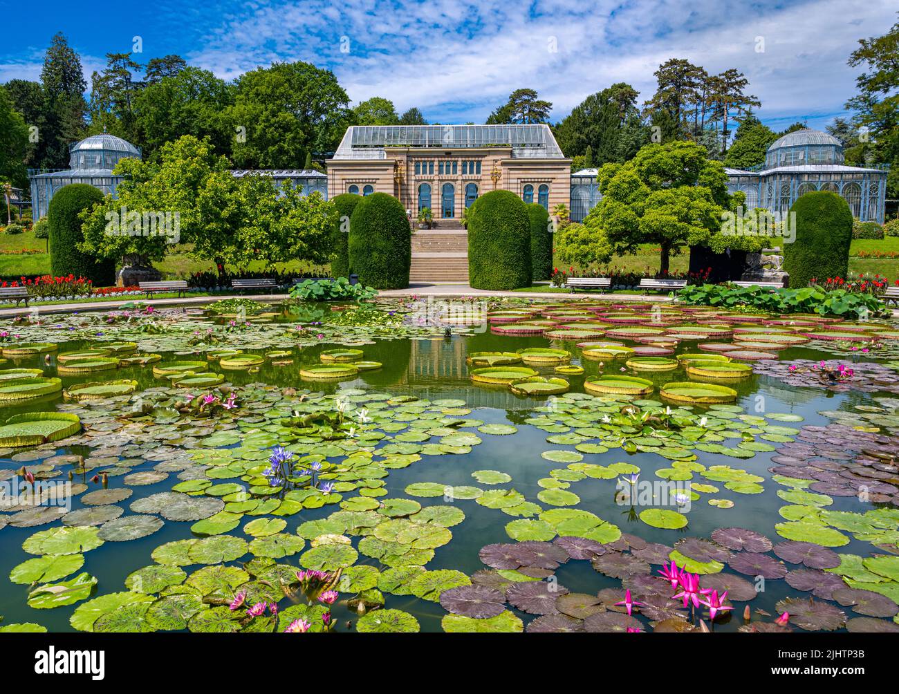 Water lily pond Wilhelma Zoological-Botanical Garden, Wilhelma ...