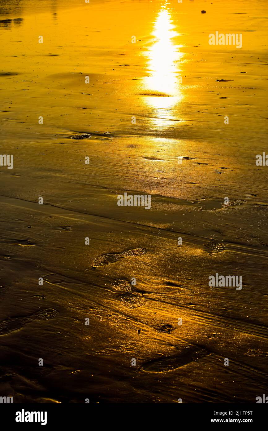 Golden colored sea beach hi-res stock photography and images - Alamy