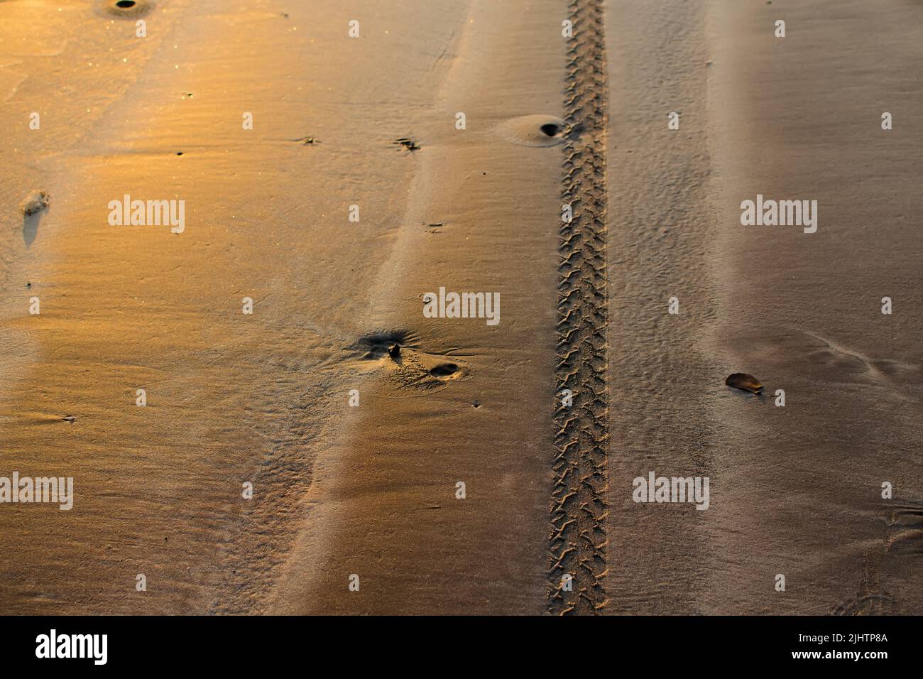 Tyre impression of bike on wet beach sand with golden colored light of ...