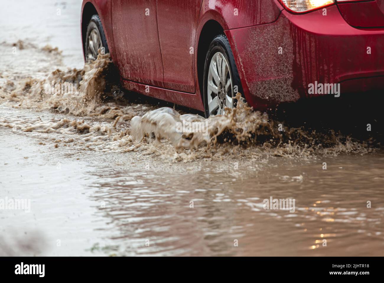 Car stuck in the mud, car wheel in dirty puddle, rough terrain Stock ...