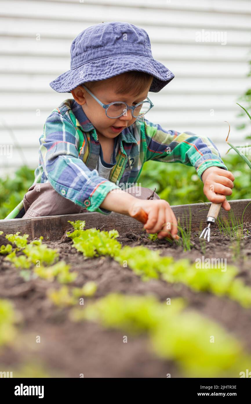 Child gardening in vegetable garden in the backyard Stock Photo - Alamy