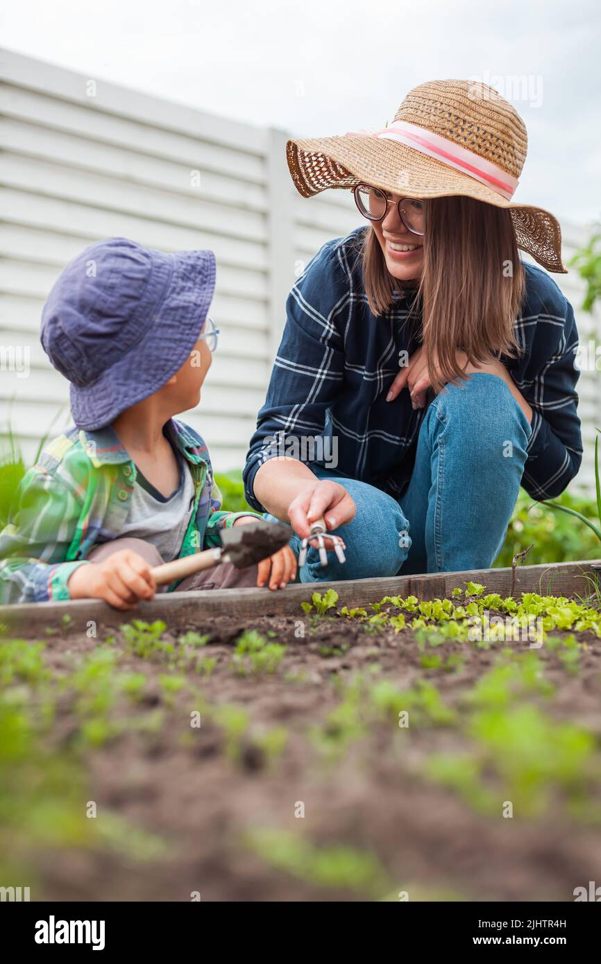 Child and mother gardening in vegetable garden in backyard Stock Photo ...