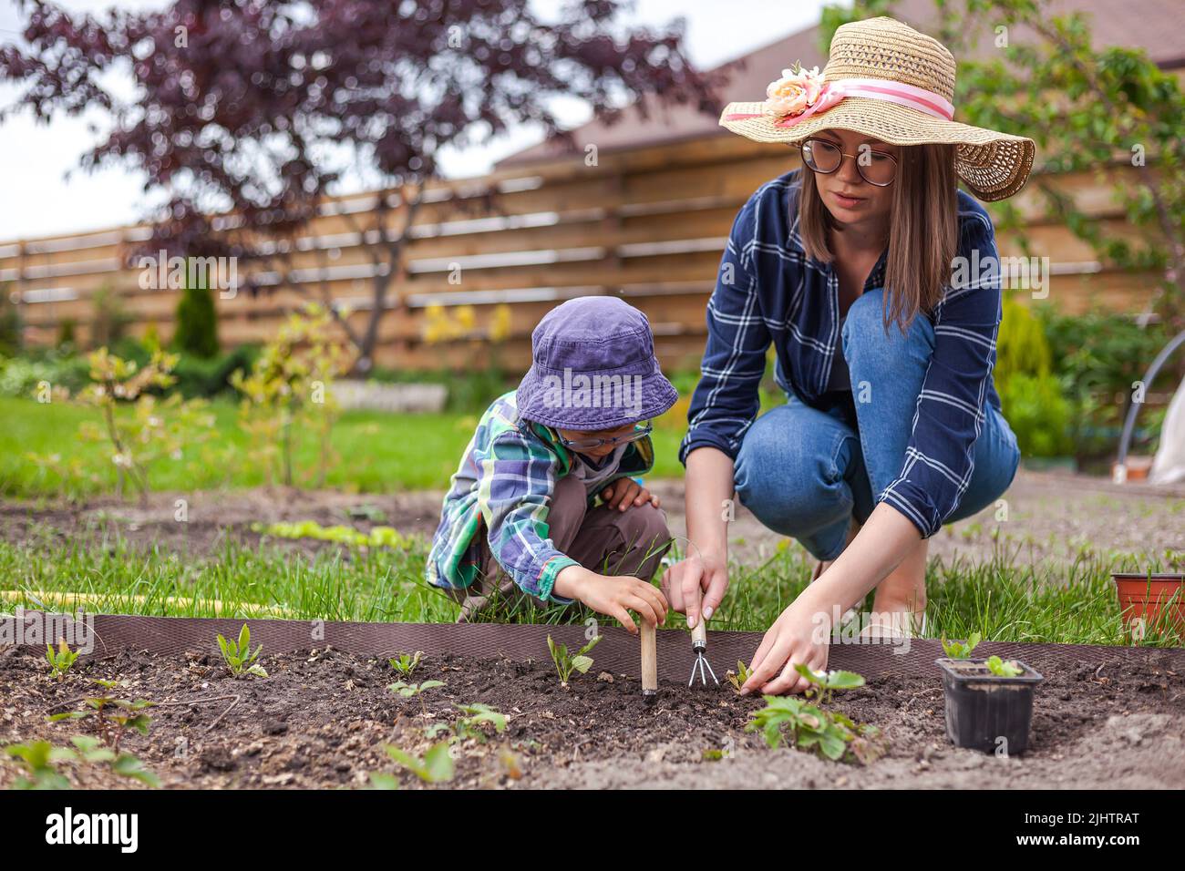 Child and mother gardening in vegetable garden in backyard Stock Photo ...