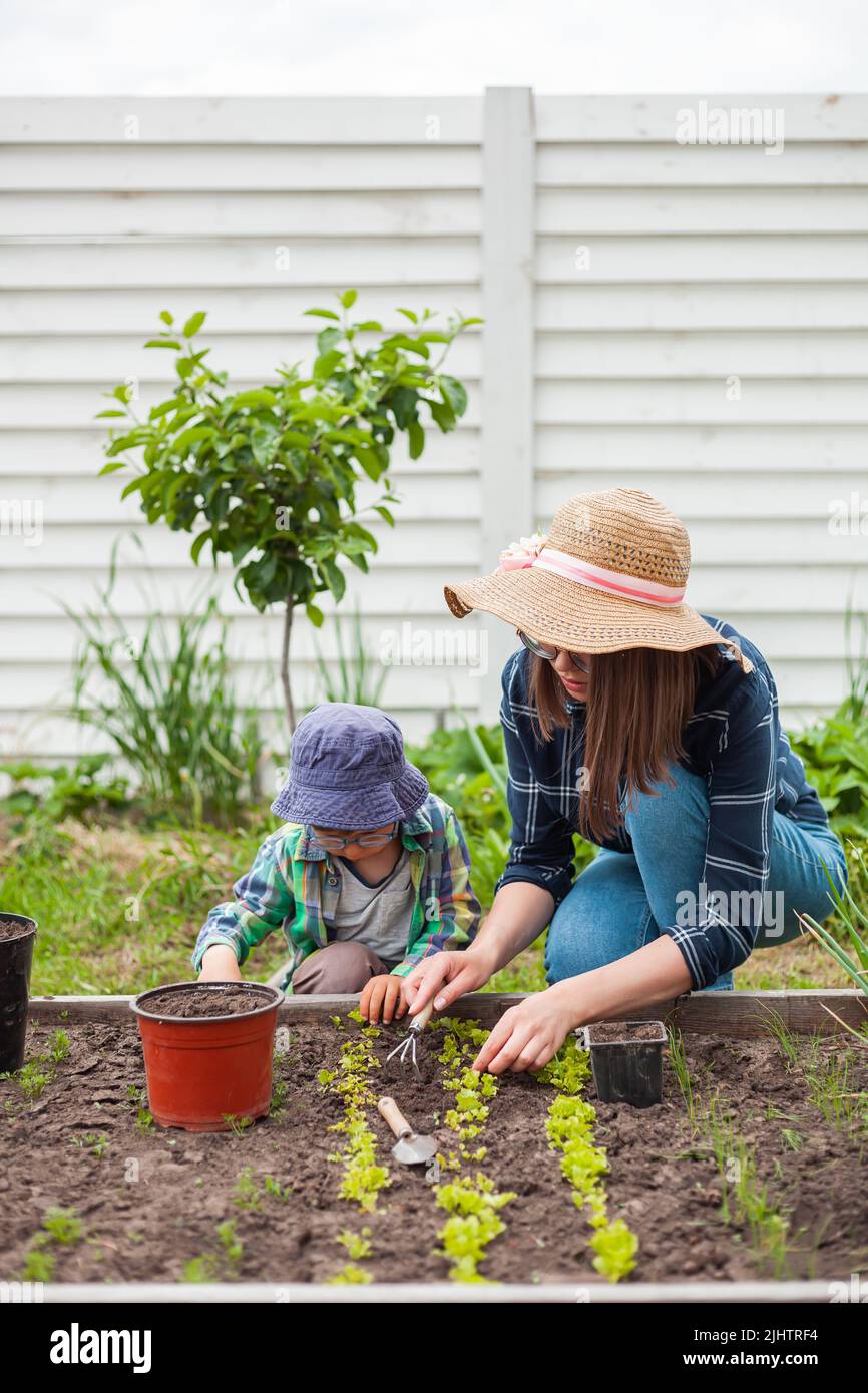 Child and mother gardening in vegetable garden in backyard Stock Photo ...