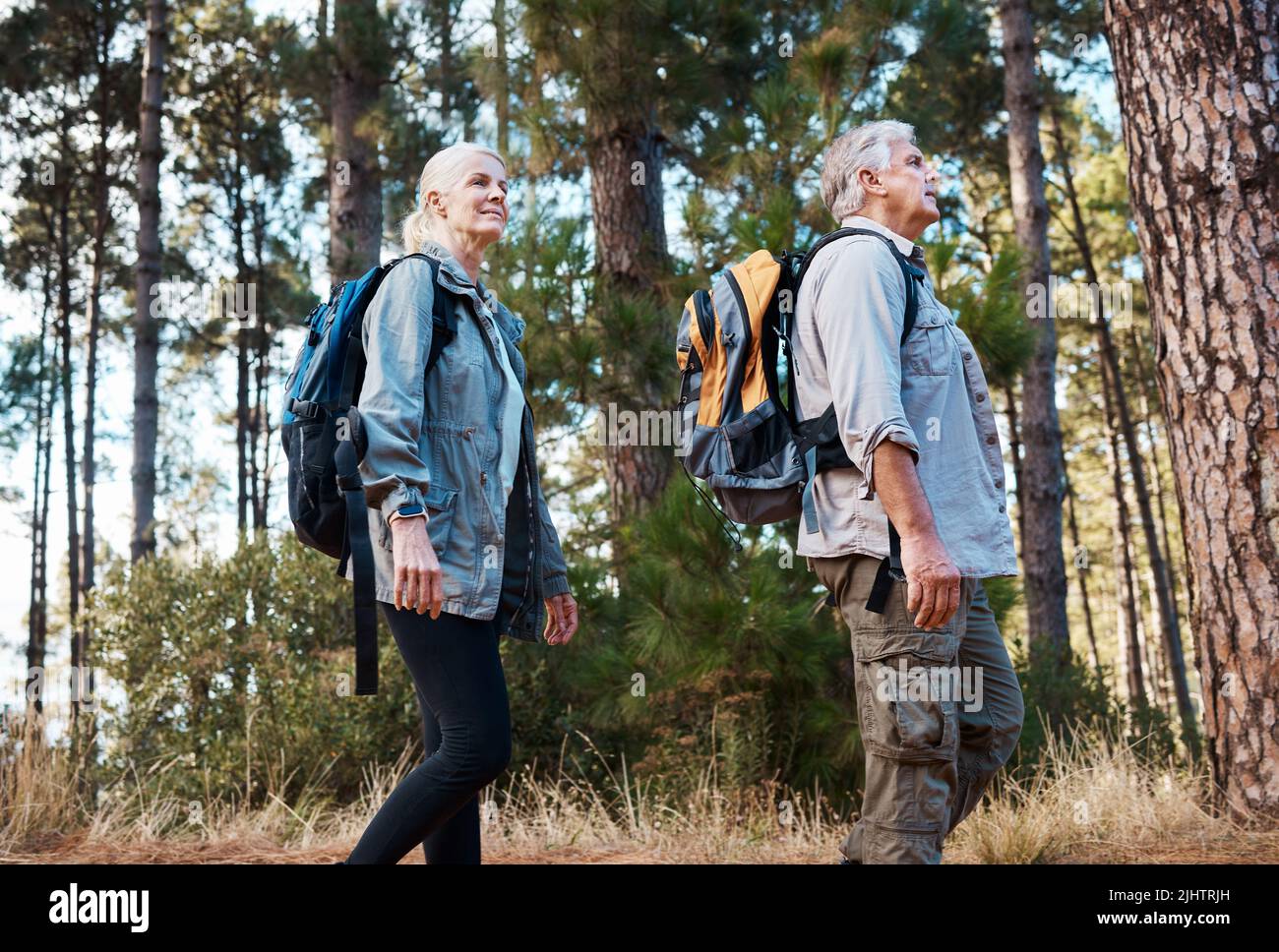 Theres so much to see in the woods. a mature couple out for a hike ... Theres so much to see in the woods. a mature couple out for a hike ...