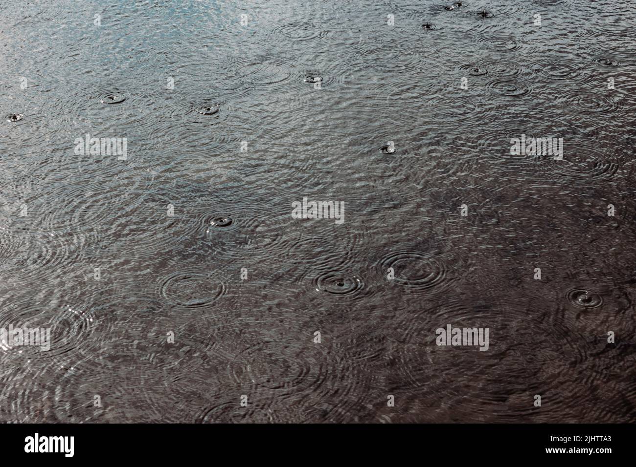 Raindrop circles on the lake or sea or puddle. moody rainy background ...