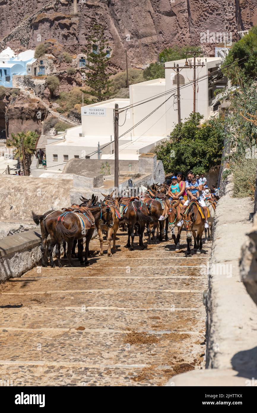 Donkeys and Mules carrying tourists up and down the 580 steps to the ...