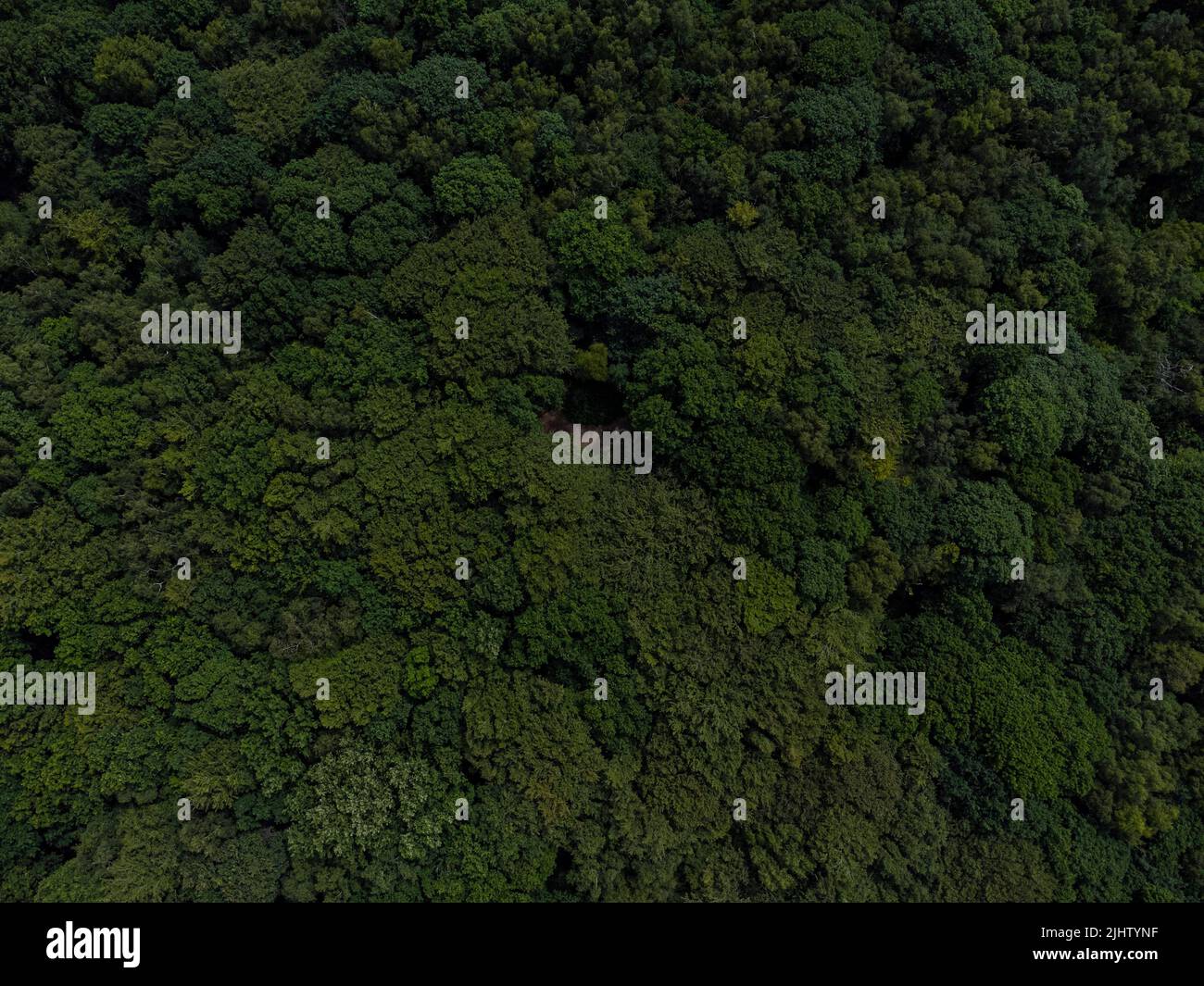 Aerial views over Rhiwbina from Coad Y Wenallt, Cardiff Stock Photo - Alamy