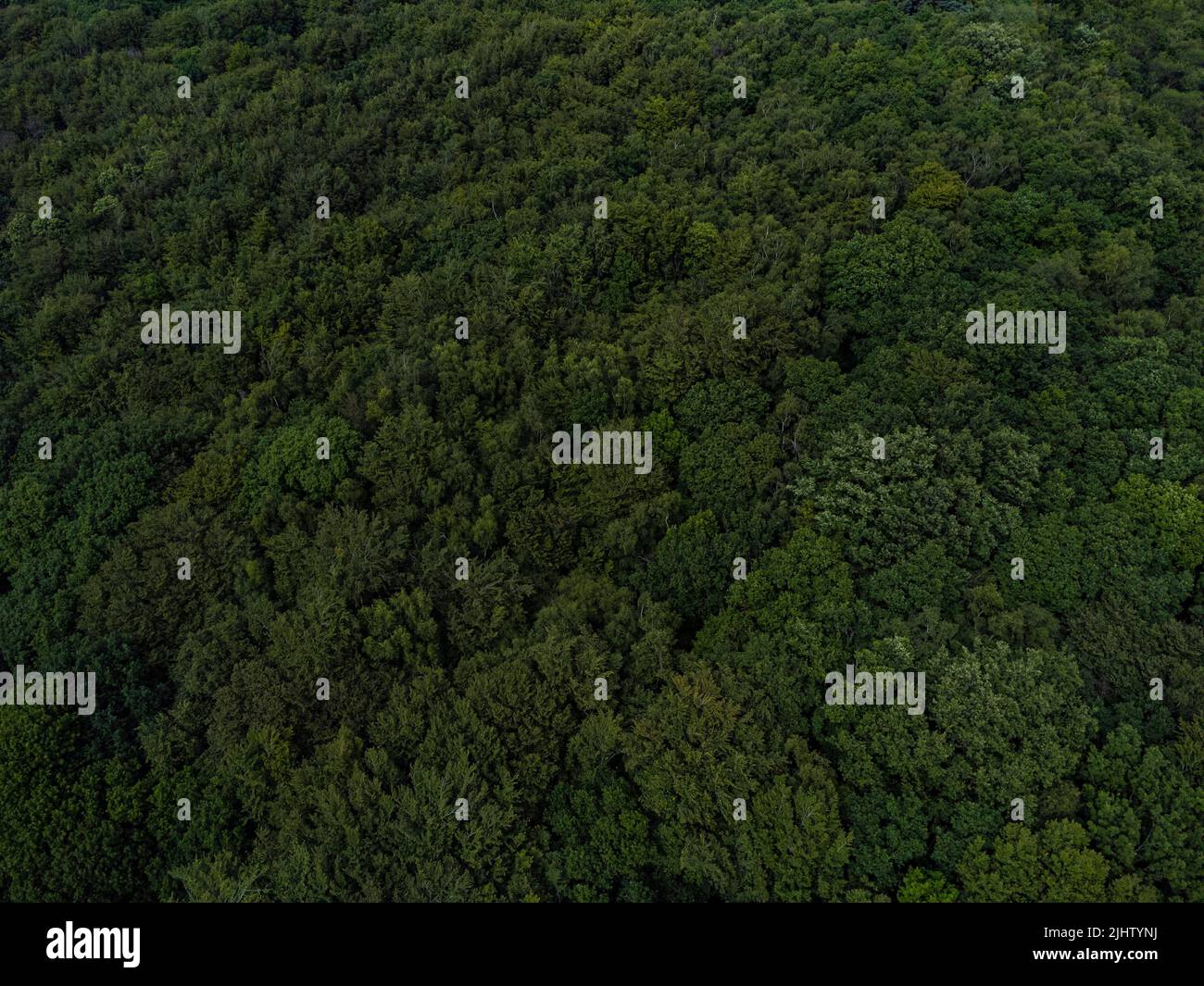 Aerial views over Rhiwbina from Coad Y Wenallt, Cardiff Stock Photo - Alamy