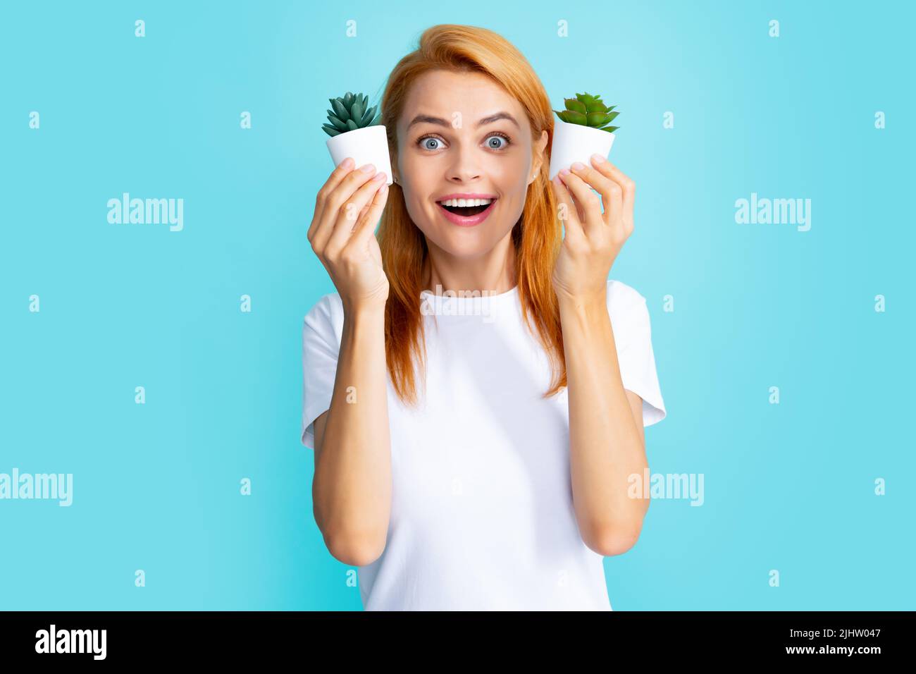 Emotional funny cute woman girl with a small cactus. Closeup face ...