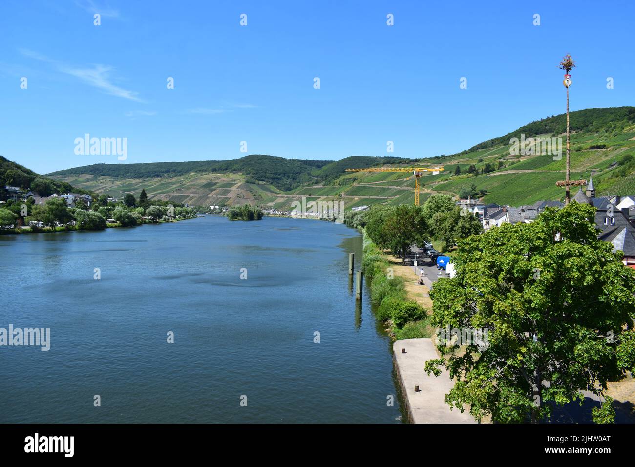 Blue merl hi-res stock photography and images - Alamy