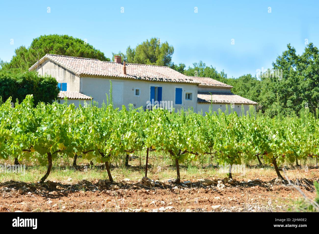 Vineyards and a typical provencal house in Provence, France Stock Photo ...