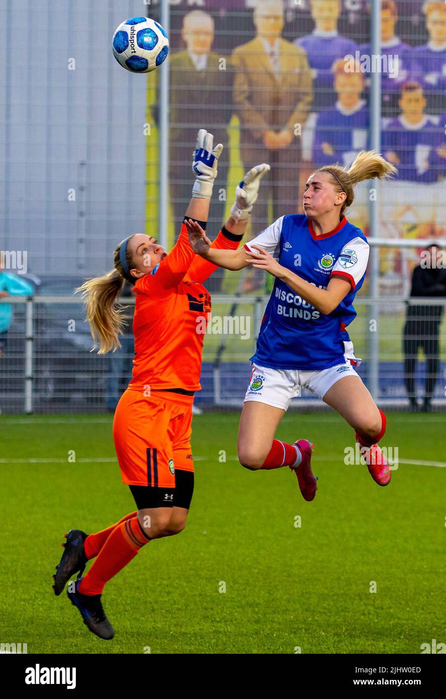 Nifl 2022 hi-res stock photography and images - Alamy