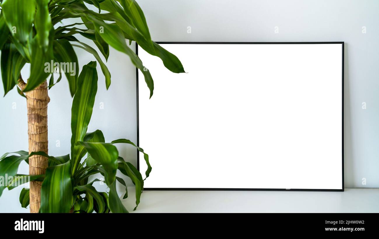 Modern panel with plant in an office room. Minimalist black frame ...