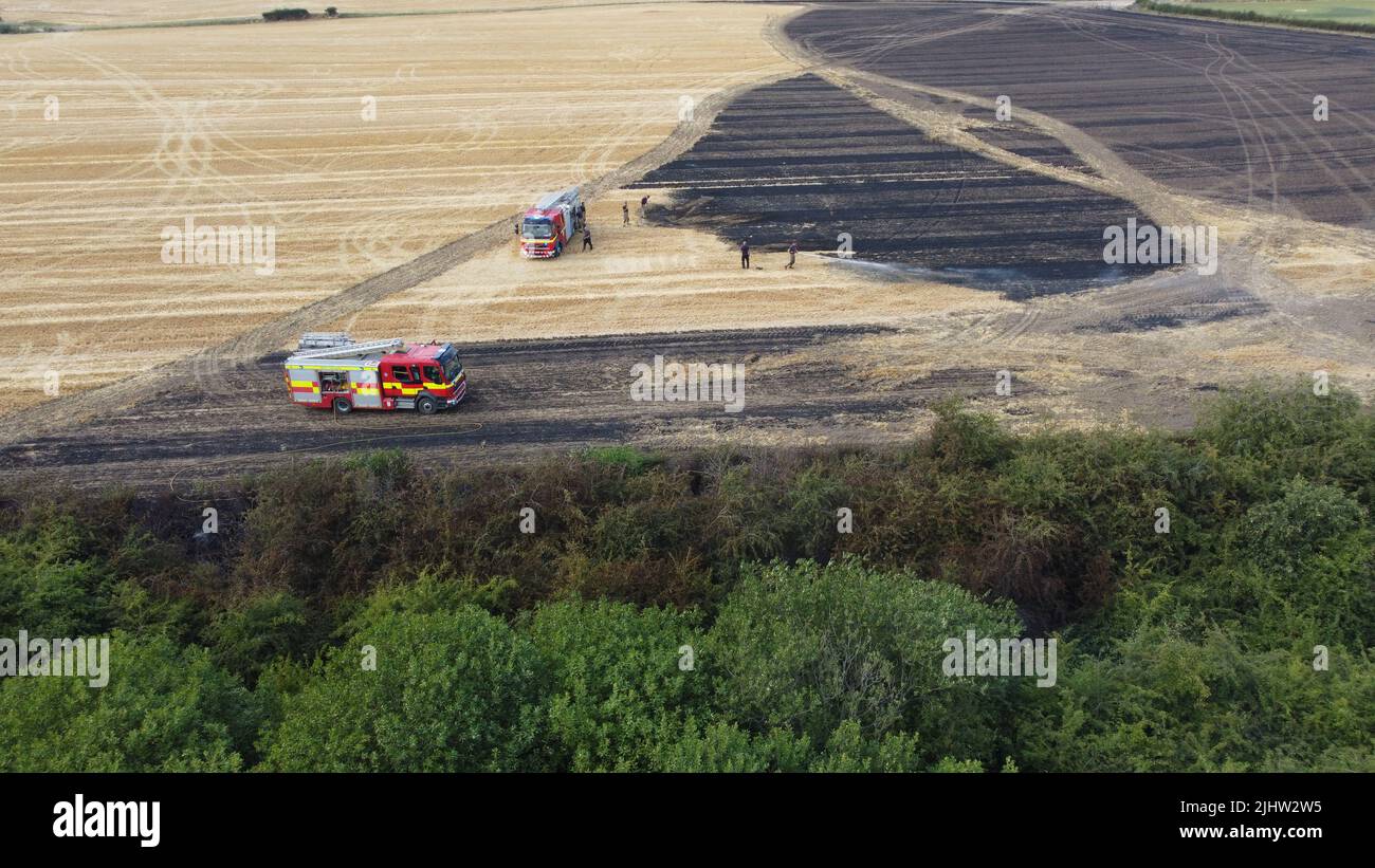 2022 0158 jpg hi-res stock photography and images - Alamy