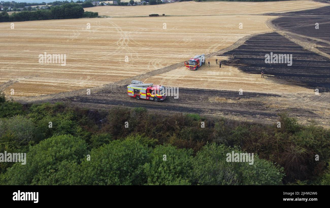 2022 0159 jpg hi-res stock photography and images - Alamy