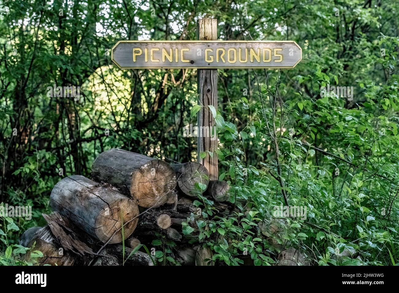 Sign to the picnic grounds with a pile of logs along a trail in the ...