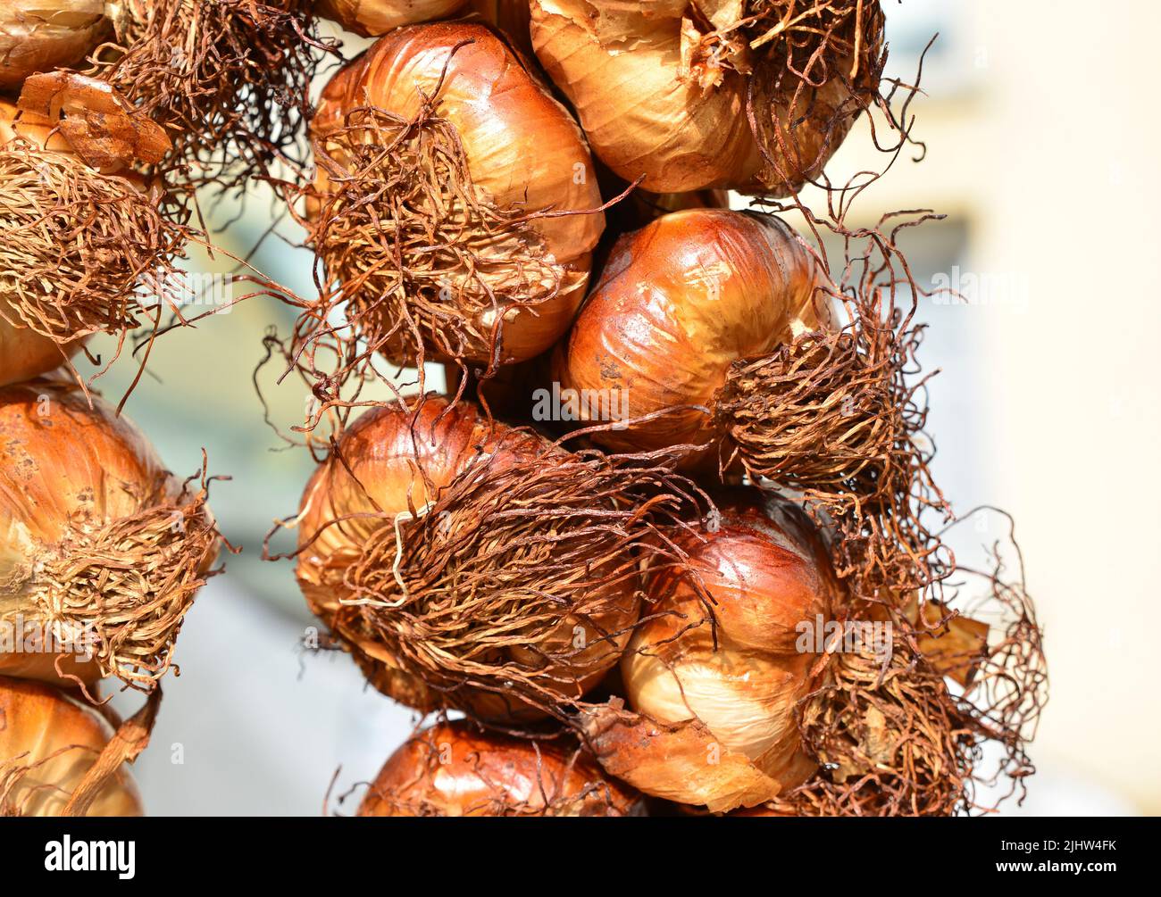 Garlicscape hi-res stock photography and images - Alamy