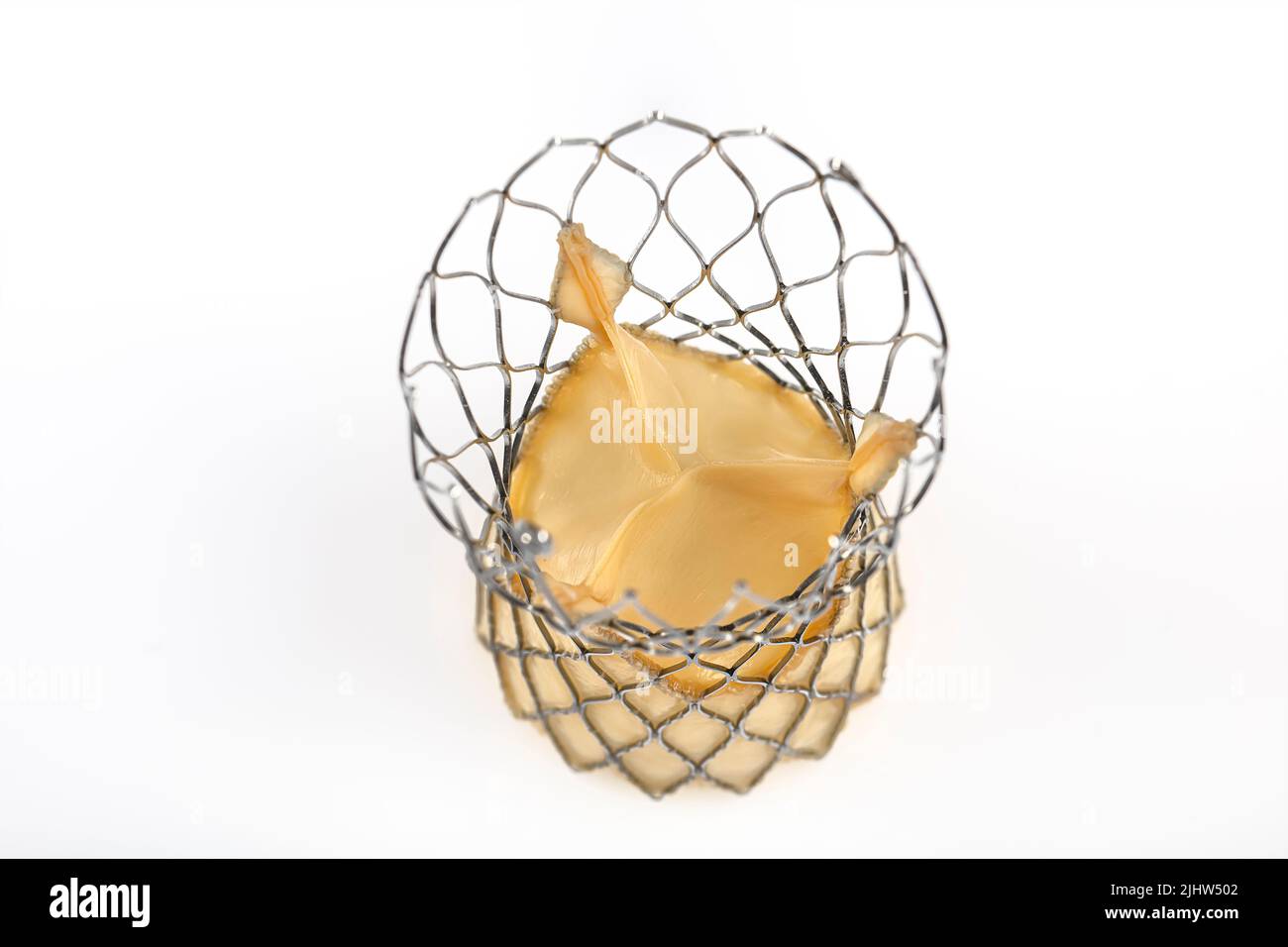 Heart valve surgery cardiology for patient in hospital. Prepare ...