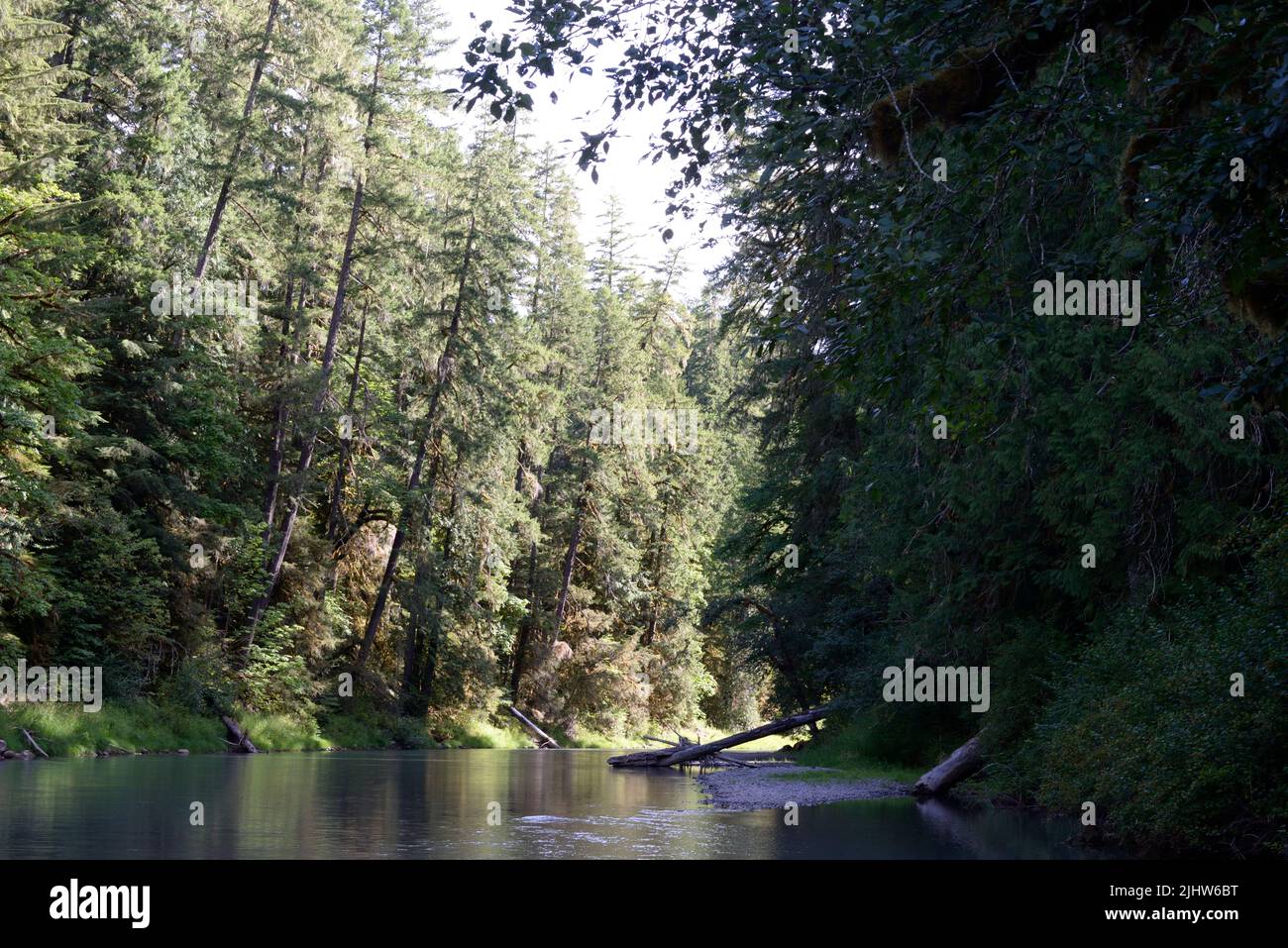 Cispus river hi-res stock photography and images - Alamy