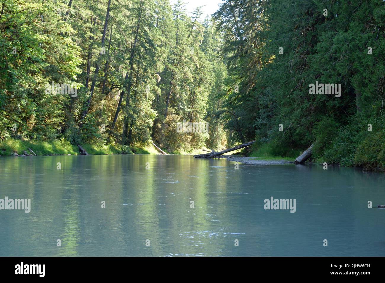 Morning Light on the Cispus River Stock Photo - Alamy