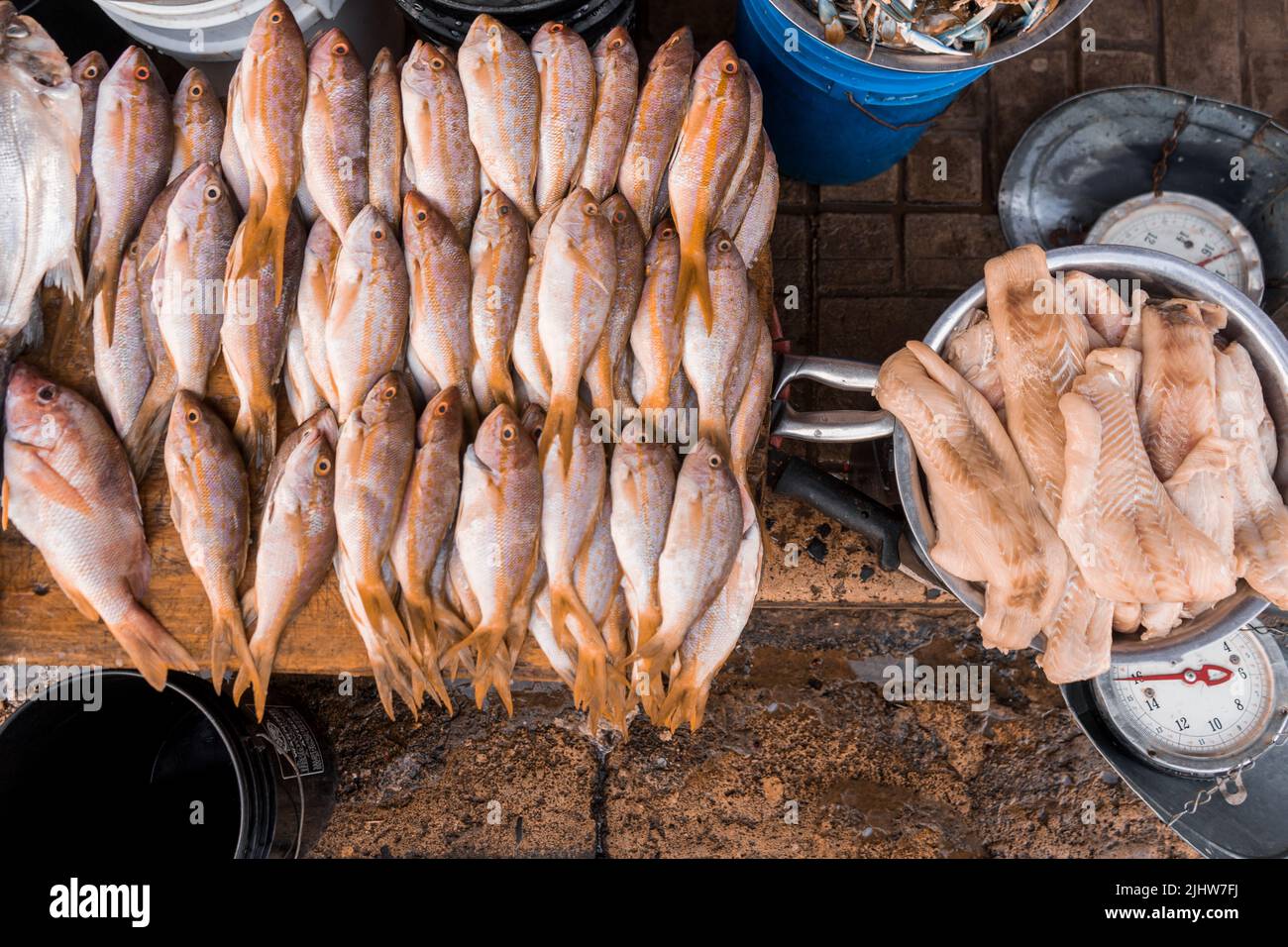 Top view of fresh fish and chops for sale at the Bluefields dock market ...