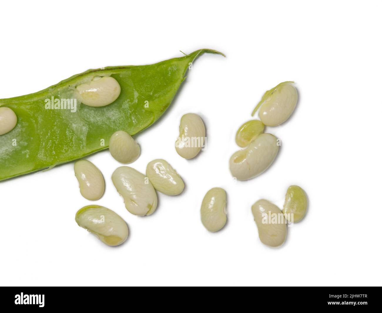 Pods of green beans on a white background. Opened bean pods. beans ...