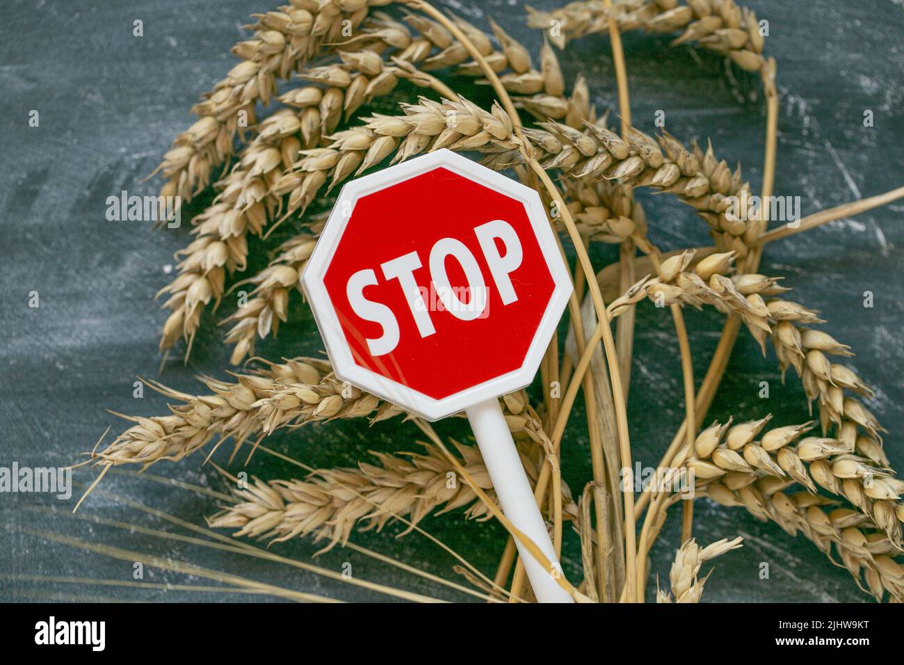 Stop on the import and export of wheat.Wheat ears and red stop sign on ...