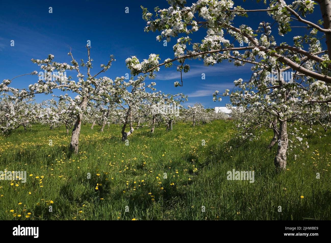 Apple barn apple orchard hi-res stock photography and images - Alamy