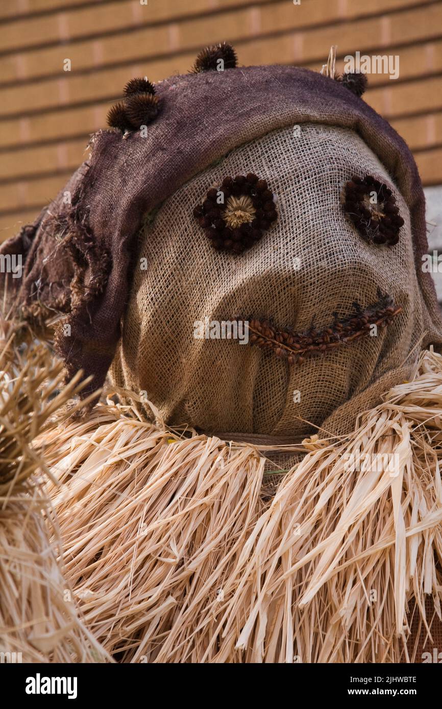 Close-up of a potato sack and straw Halloween monster Stock Photo - Alamy